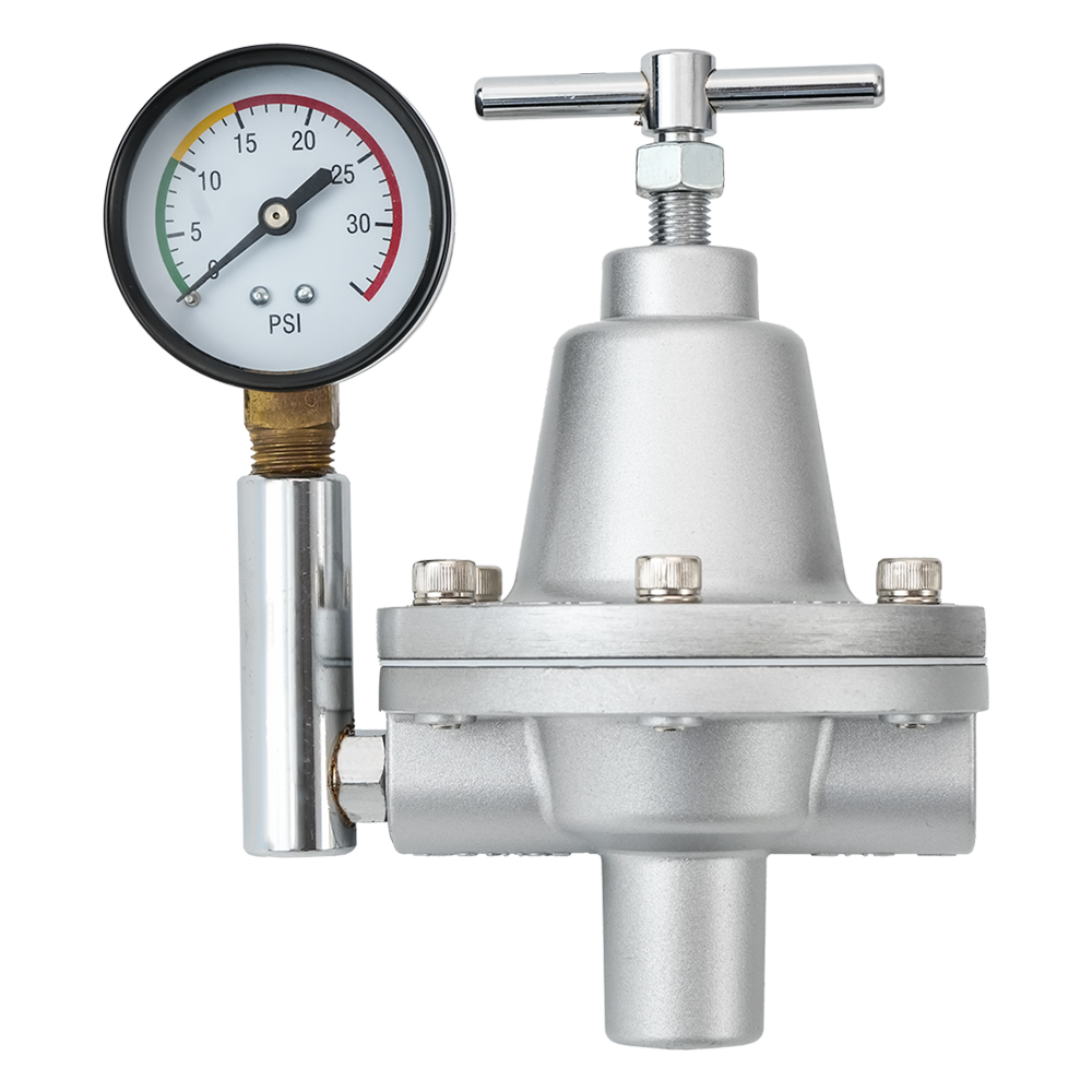 PT-102-22 Regulator w/Gauge /for Diaphragm Pump - Prowin Tools
