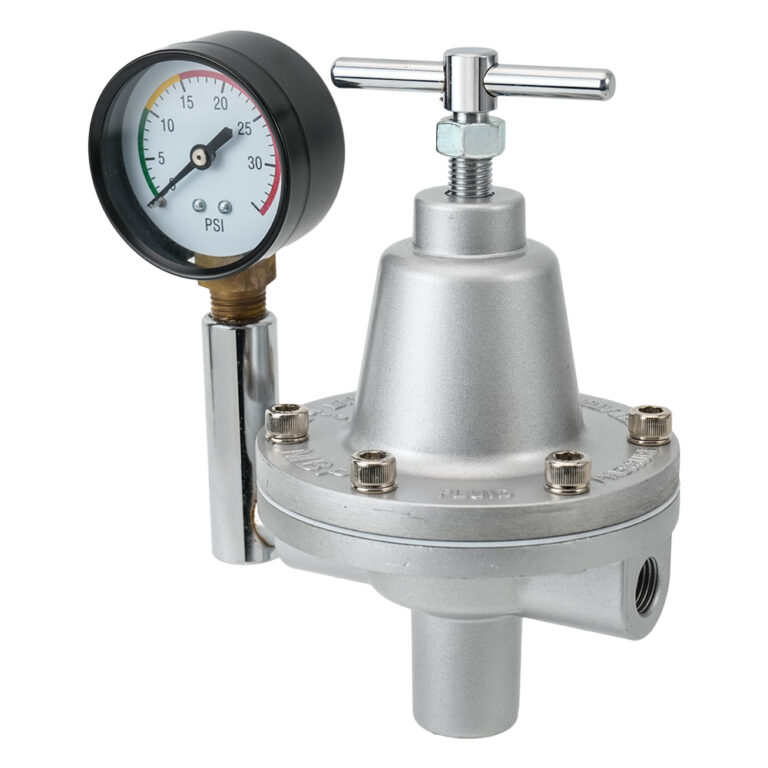 PT-102-22 Regulator w/Gauge /for Diaphragm Pump - Prowin Tools